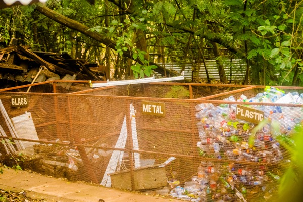 Conservation and Education - African Fund for Endangered Wildlife ...