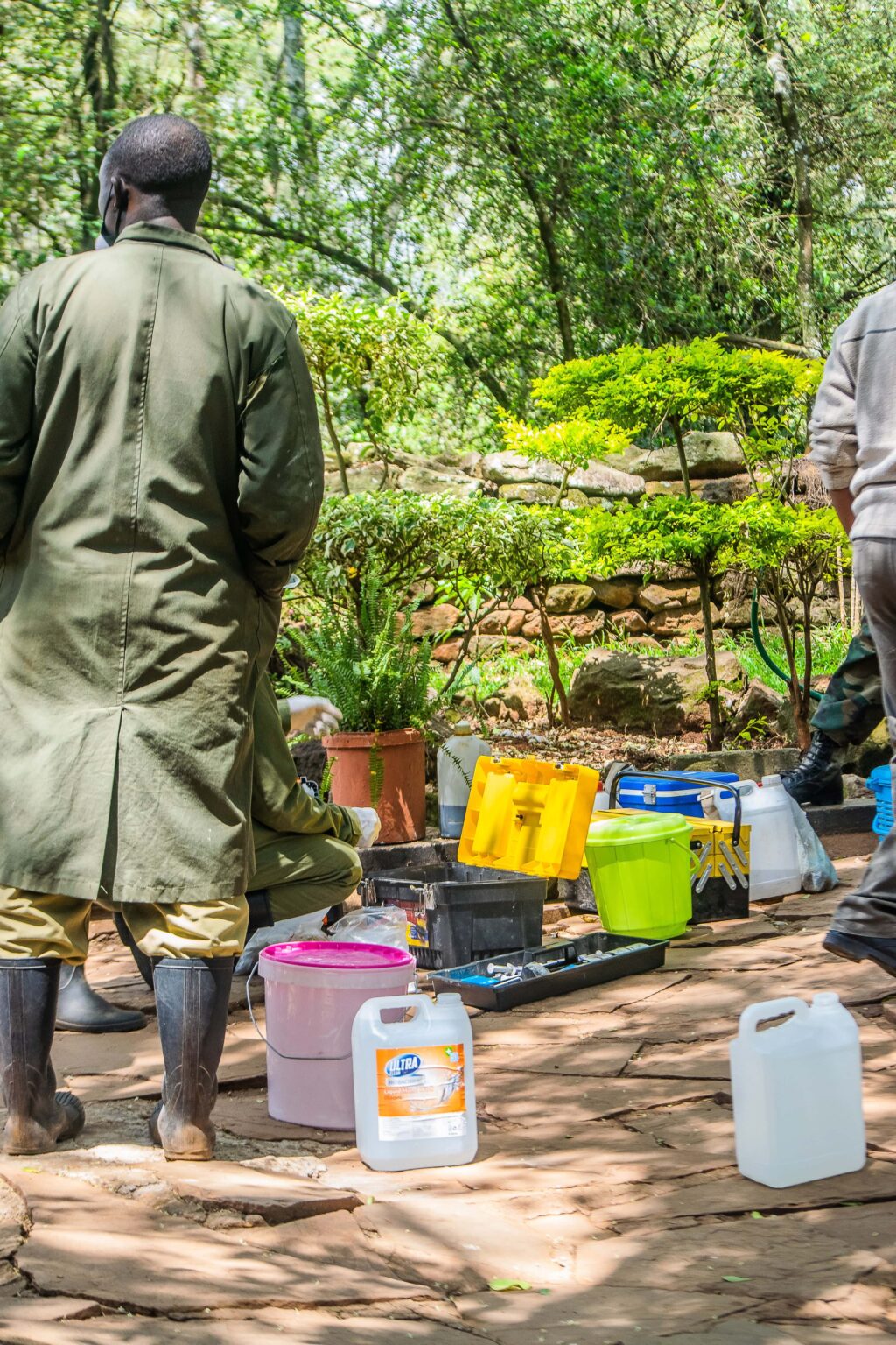 Our Stories - African Fund for Endangered Wildlife - Giraffe Centre